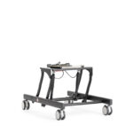 Bug Stroller for Children with Special Needs | Ormesa