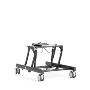 Bug Stroller for Children with Special Needs | Ormesa