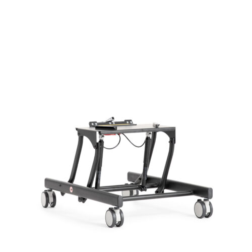 Bug Stroller for Children with Special Needs | Ormesa